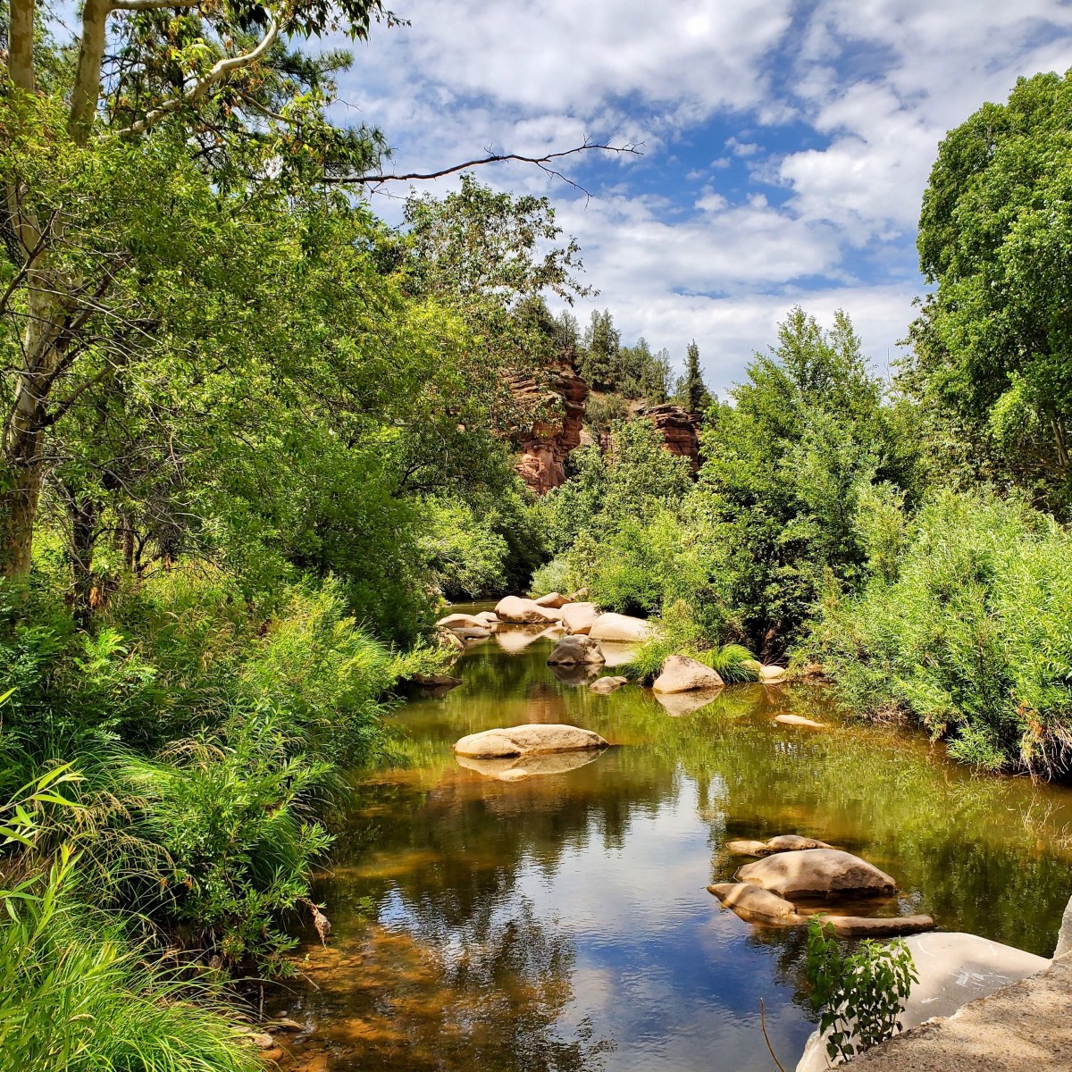 10 things to do in Pine-Strawberry – Gluten Free Travel Girl